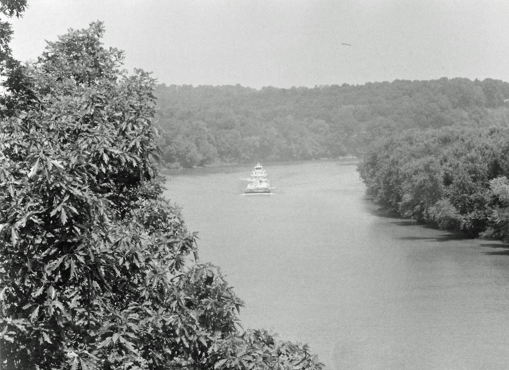 THAT OTHER THOMAS FAMILY: Part 3 | They Lived Along a Rocky River